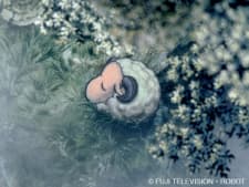 Stray Sheep | Anime Oshi